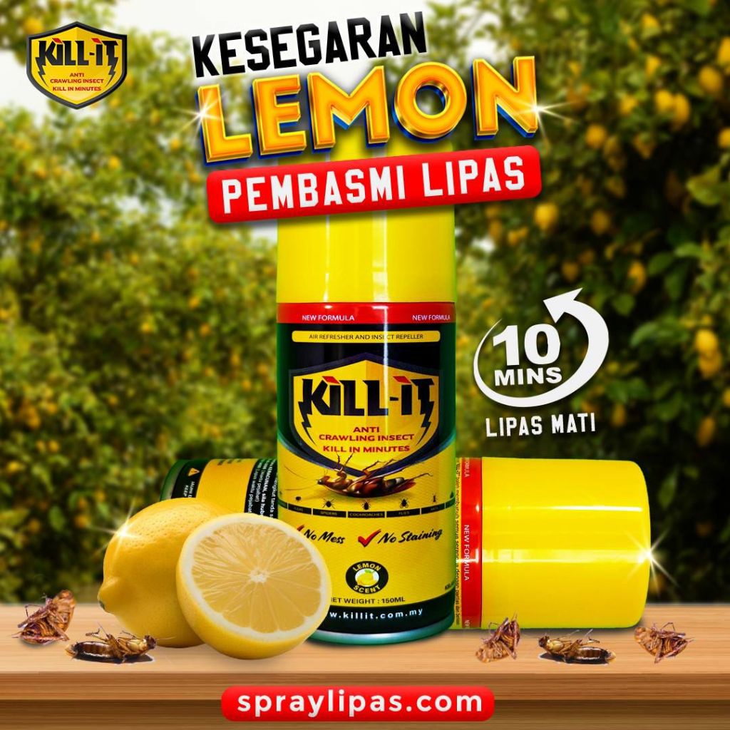 Pest Control KILL IT Magic Cockroach Spray Lipas Kereta Spray 车用杀蟑螂神器无 ...