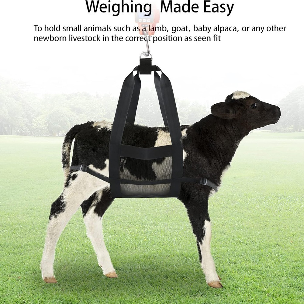Livestock Weighing Scale Carrier Goat Sheep Calf Sarung Timbang Anak ...