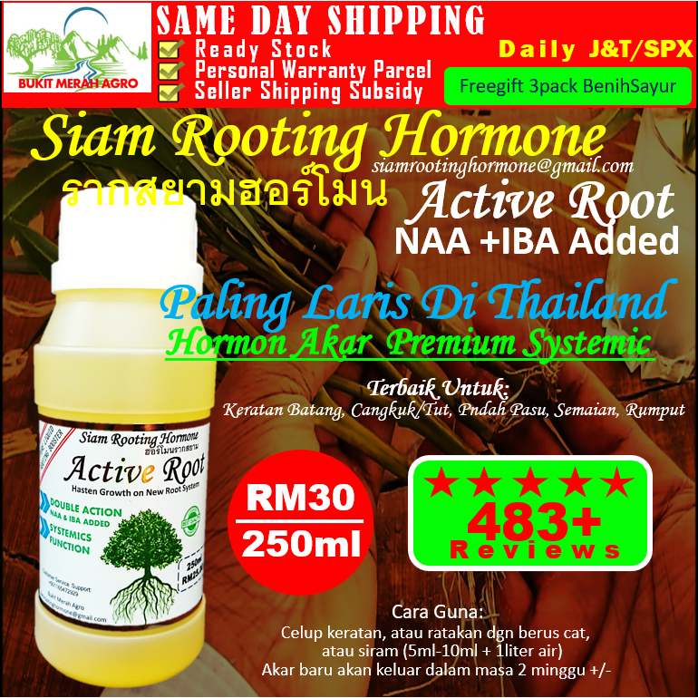 TEKNOLOGI TERKINI Siam Rooting Hormone Active Root Penggalak Akar Baja Foliar Keladi Caladium ...
