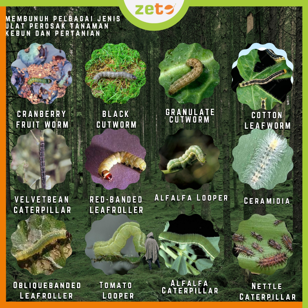 Dipel ES 1L Racun Serangga Organik Membunuh serangga perosak Penggerek ...