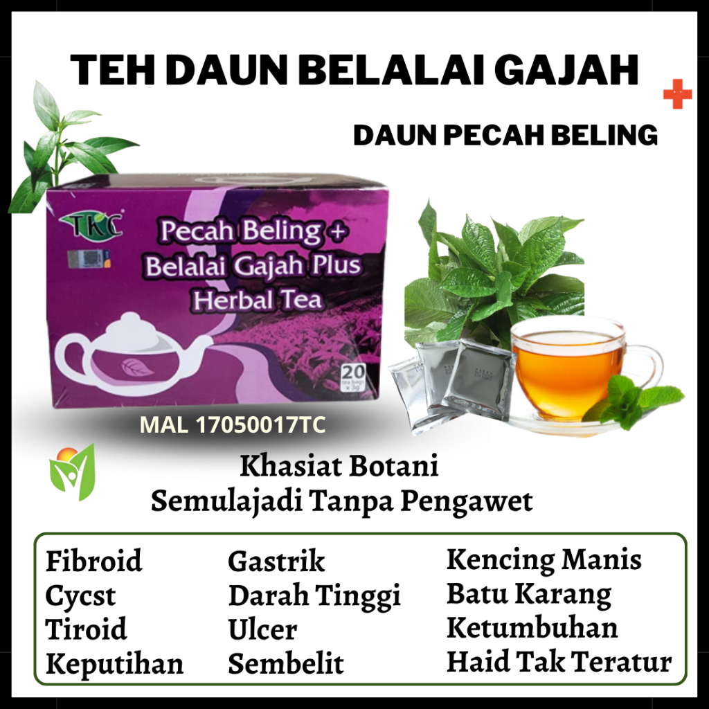 Teh Pecah Beling, Teh Moringa, Teh Durian Belanda, Teh Belalai Gajah ...