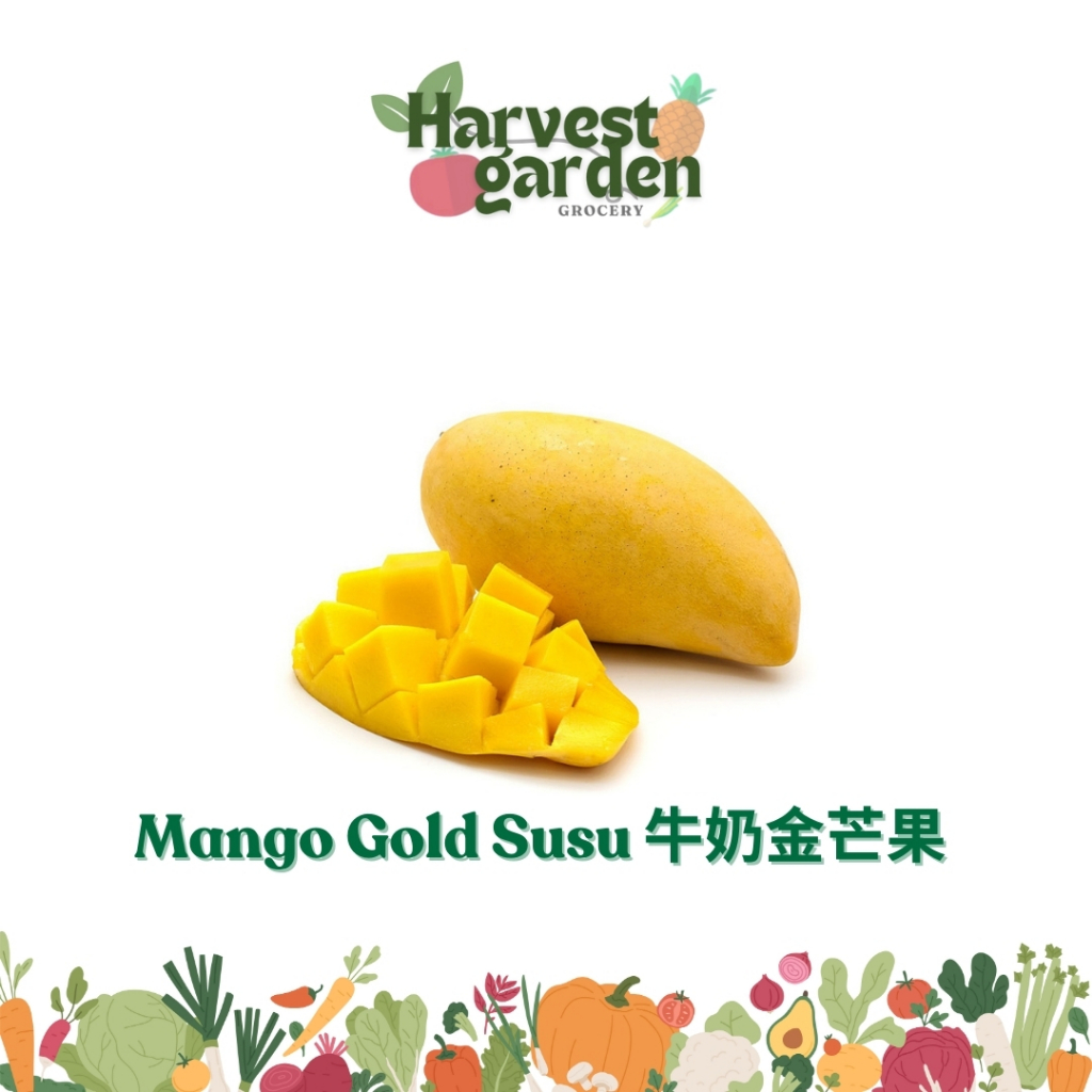 Mango Gold Susu 牛奶金芒果 1PCS/3PCS (350g± - 1kg±) | Shopee Malaysia