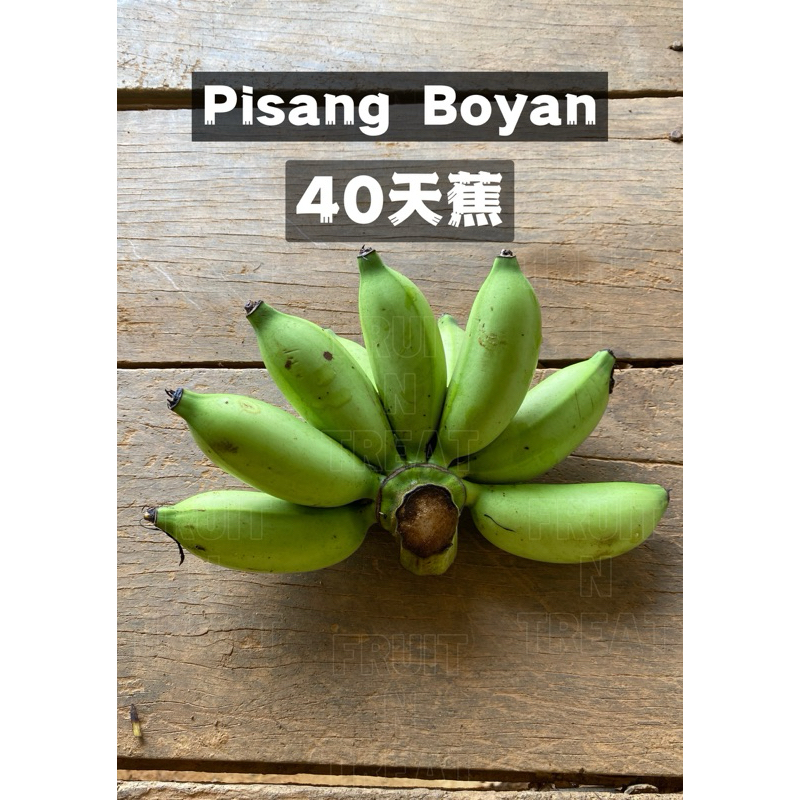 Pisang Boyan 1kg / Pisang Lemak manis(Bananas) | Shopee Malaysia
