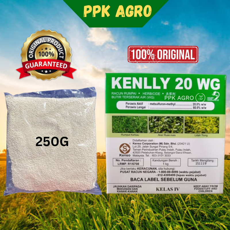 250G / 1KG KENLLY 20WG Kenso (Sama Ally/DWEED) Anak Kayu/Anak Pokok ...