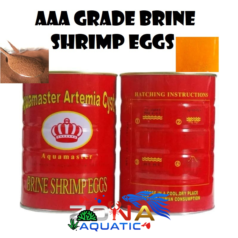 READY STOCK | BBS | GRADE AAA | BRINE SHRIMP EGG | FOR SMALL FISH ...