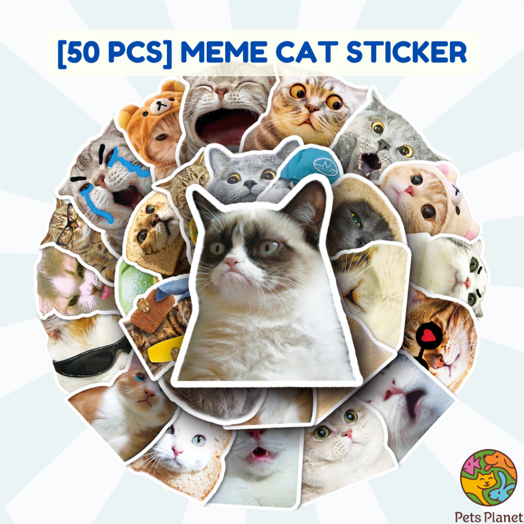 [50pcs] Cute Kittens Cats MEME Waterproof Stickers For Cat Litter Box ...
