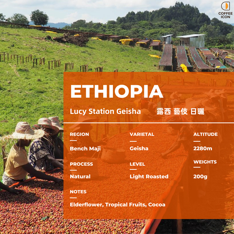 [Coffee Icon] Specialty Coffee Bean Ethiopia Bench Maji Geisha Lucy ...