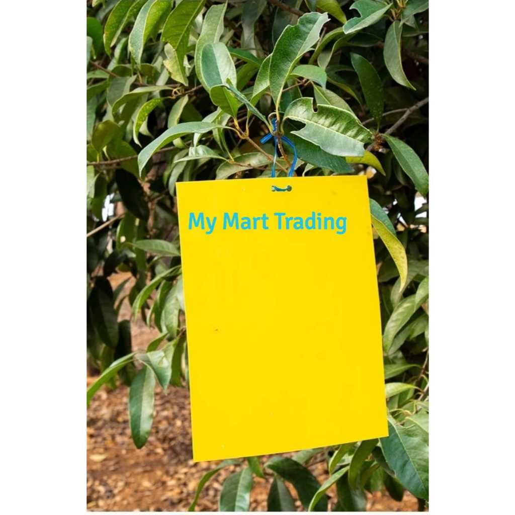 Perangkap Serangga Kuning Pelekat Serangga Kuning 15 cm x 20cm/20cm x ...