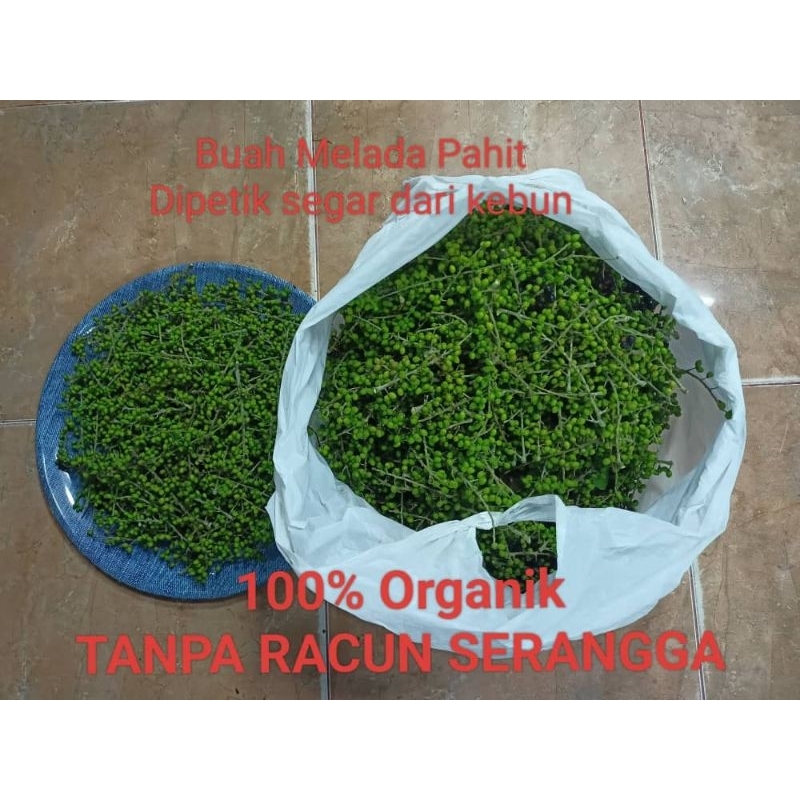 Melada pahit segar 30gm. Melada pahit kering 20gm | Shopee Malaysia