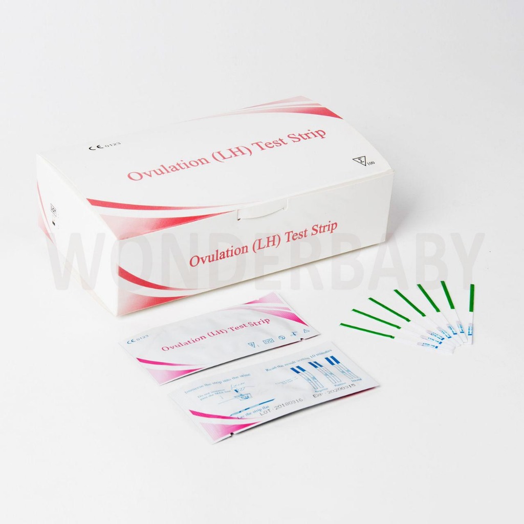 Private Wrap Pregnancy Test Urine Pregnancy Test Early Pregnancy Test 6066