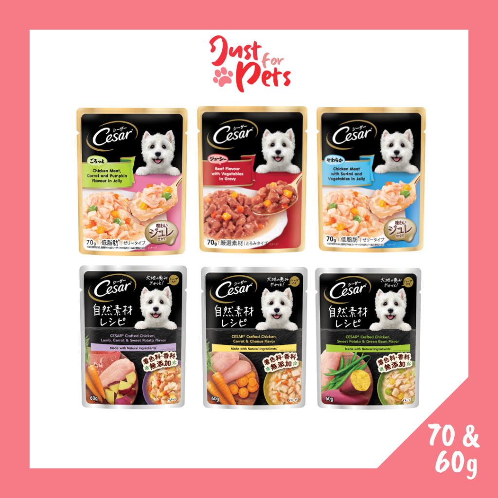 Cesar Pouch 70g & 60g Wet Dog Food (Chicken/Beef) | Shopee Malaysia