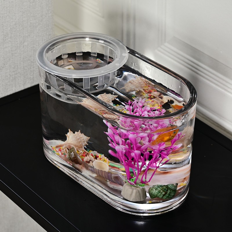 [Floralyst] Oval Transparent Multipurpose Minimalist Glass Vase ...