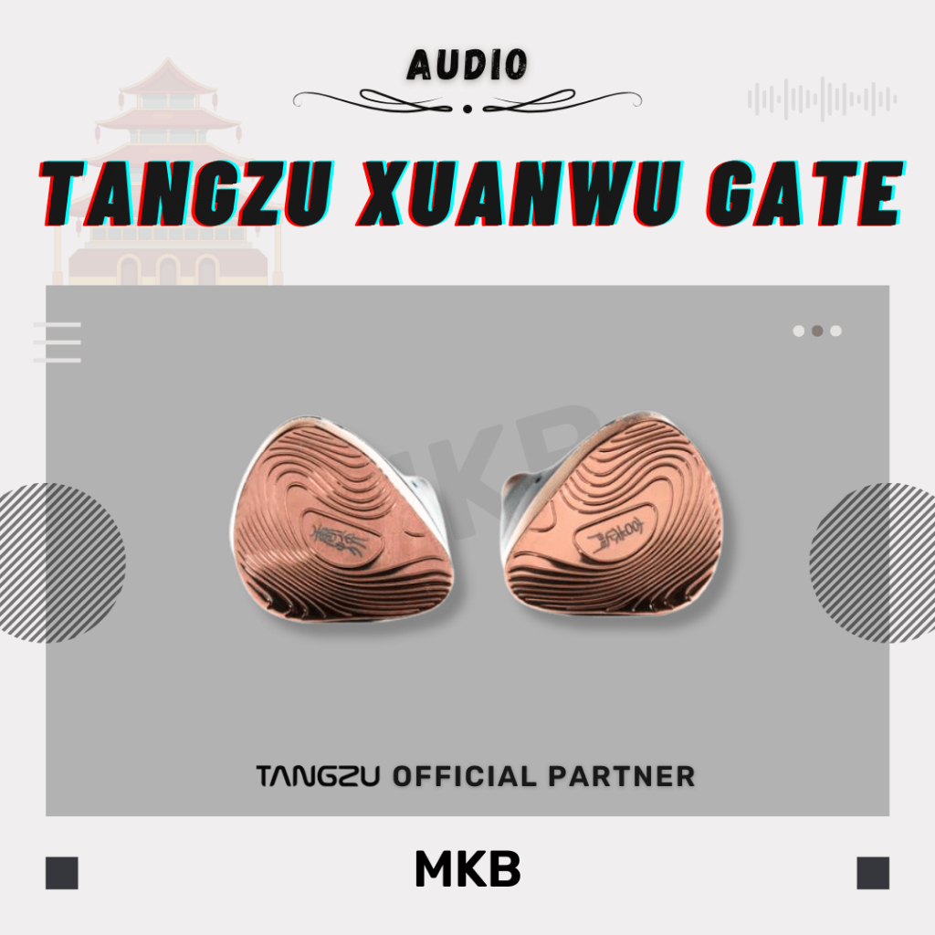 Tangzu XuanWu Gate 1DD+4BA +2EST IEM HIFI Hybrid Driver Multi-Driver 2 ...