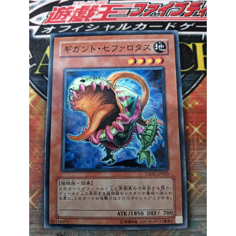 KONAMI OCG YuGiOh! Card CSOC-JP025 Gigantic Cephalotus 遊戲王 巨大土瓶草 | Shopee Malaysia