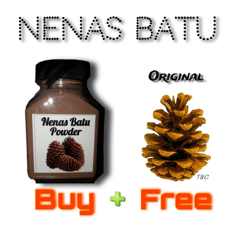SALE Beli Nenas Batu Powder Botol Percuma 1 Biji Nenas Batu Original ...