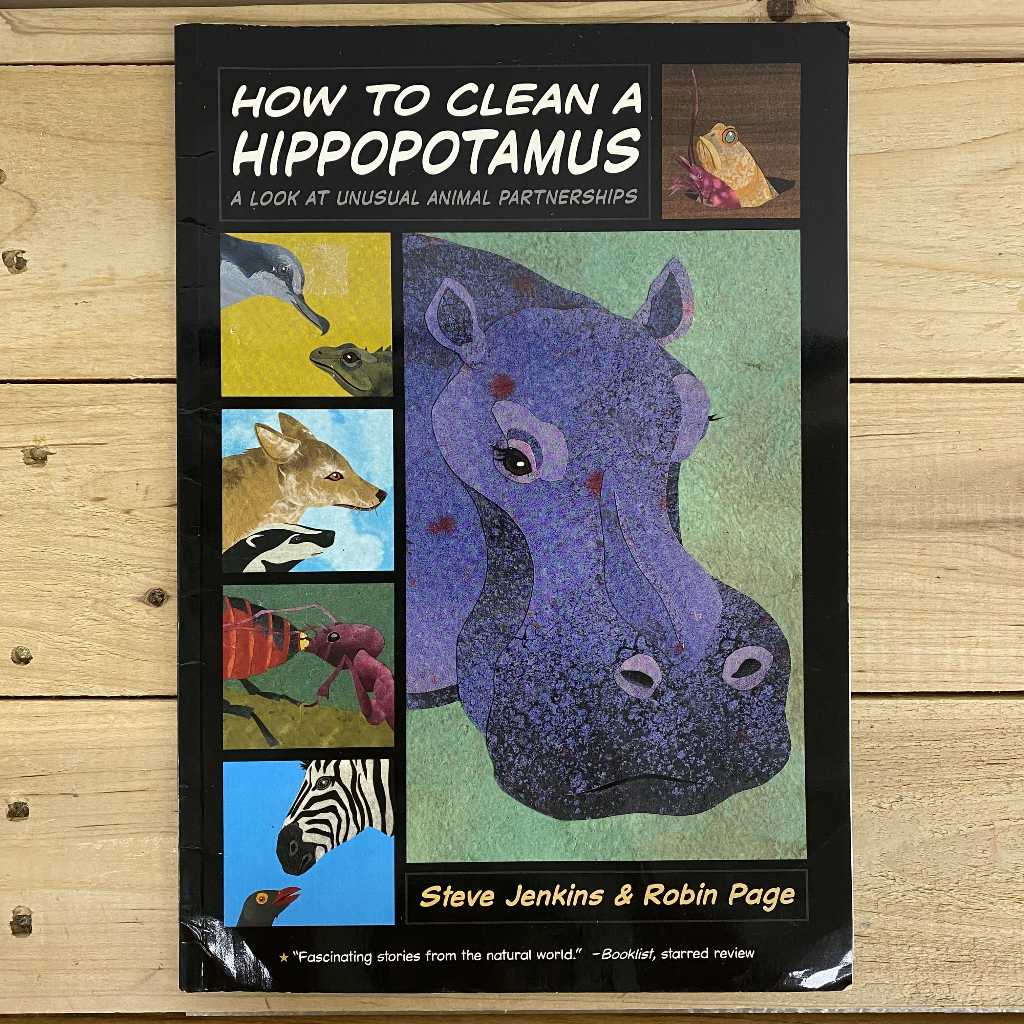 How To Clean A Hippopotamus: A Look At Unusual Animal Partnerships by ...
