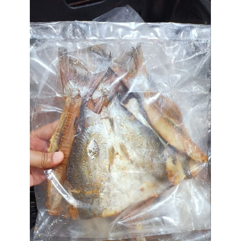 IKAN PLOTAN MASIN | IKAN MASIN | SALTED FISH 1KG | Shopee Malaysia