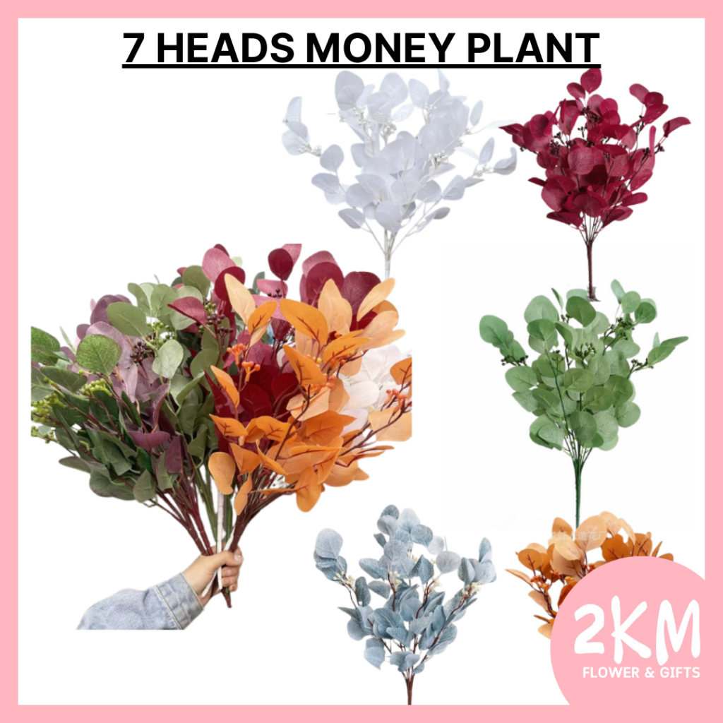 (7HEADS) MONEY PLANT ARTIFICIAL Silver Dollar Buah Daun Hiasan ...