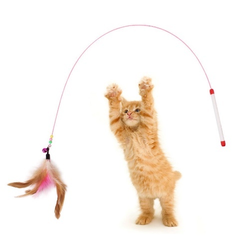 Colorful Short Rod Feather Bell Cat Funny Cat Stick Elastic Thick ...