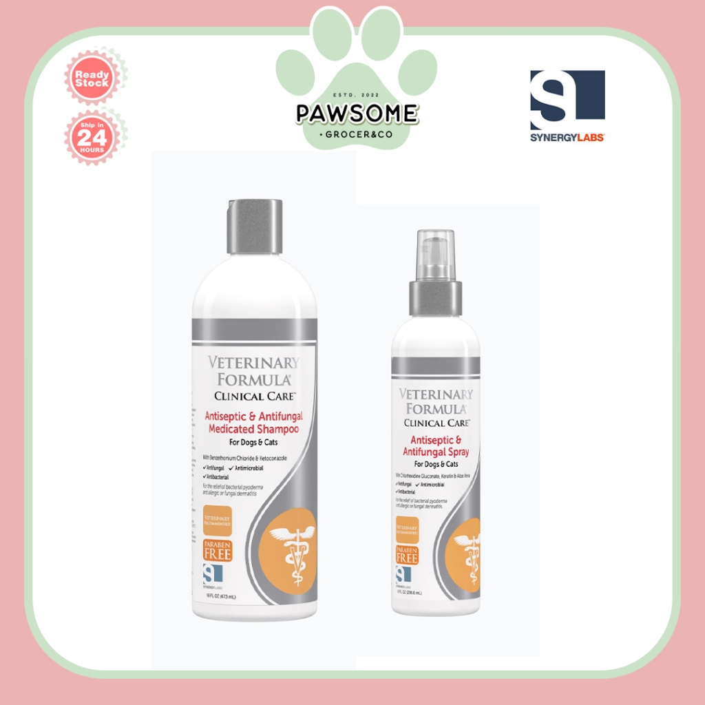 SYNERGYLABS Veterinary Formula Clinical Care Antiseptic & Antifungal Medicated Shampoo For Dog ...