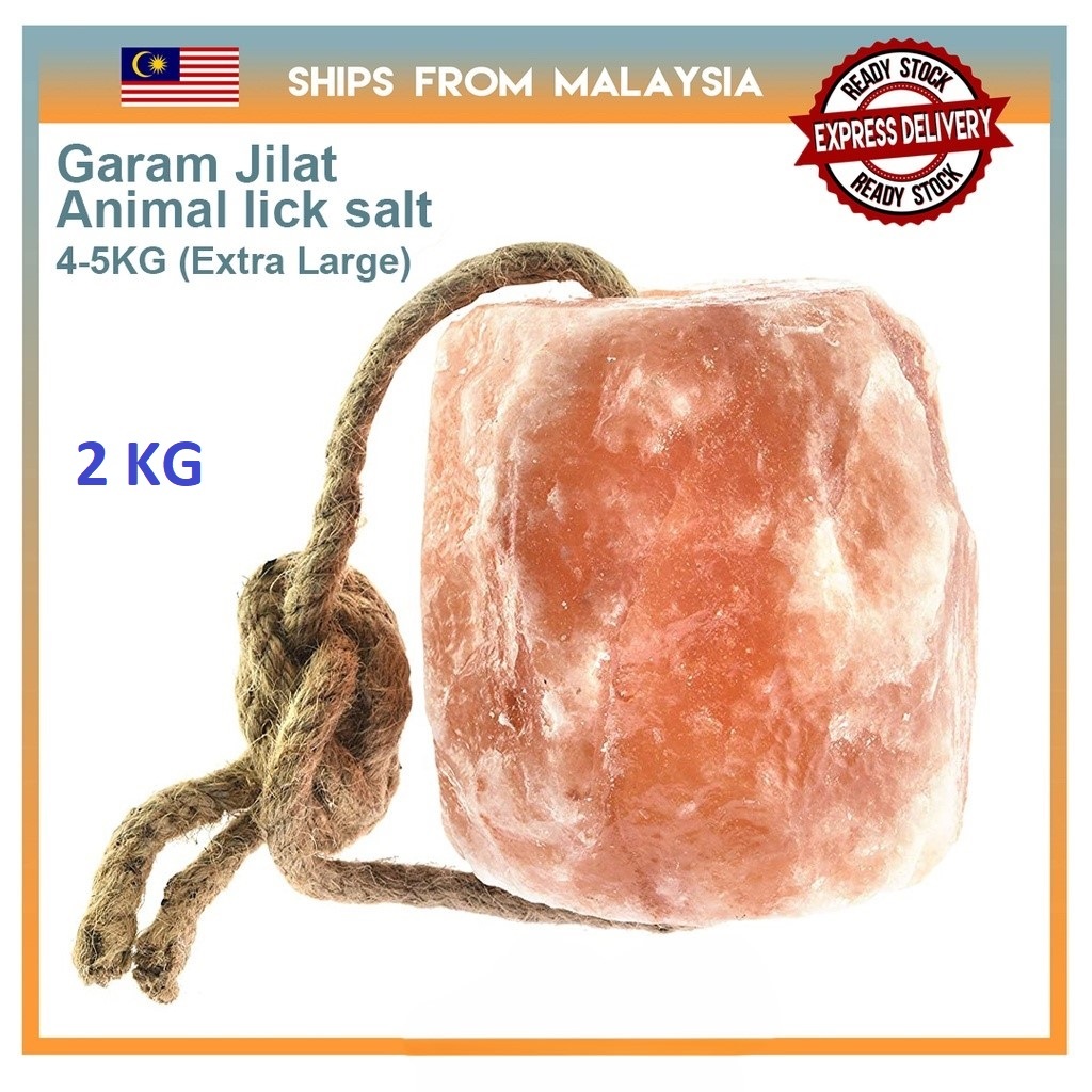 Himalayan Natural Animal Licking Salt Mineral Rock (Extra-Large ...