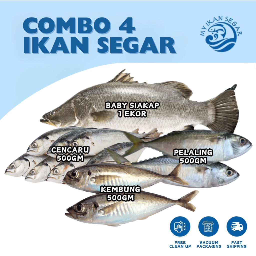 Combo 4 Ikan laut Segar (siap siang & cuci) Fresh Fish Ikan Segar Murah ...