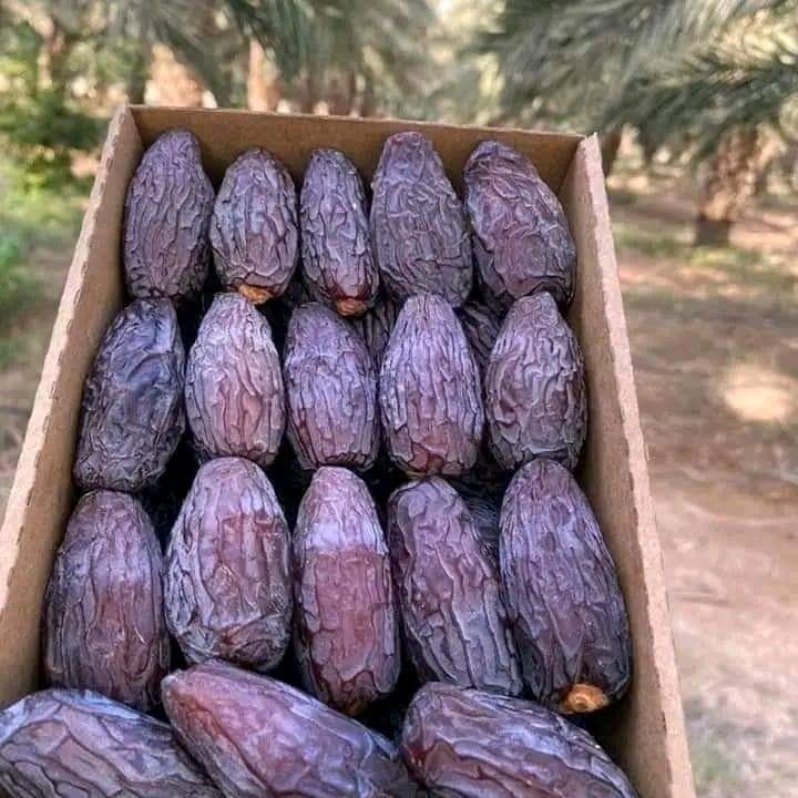Kurma Medjool Palestine Medjoul Palestin Dates Majdul grede vip - 500g ...
