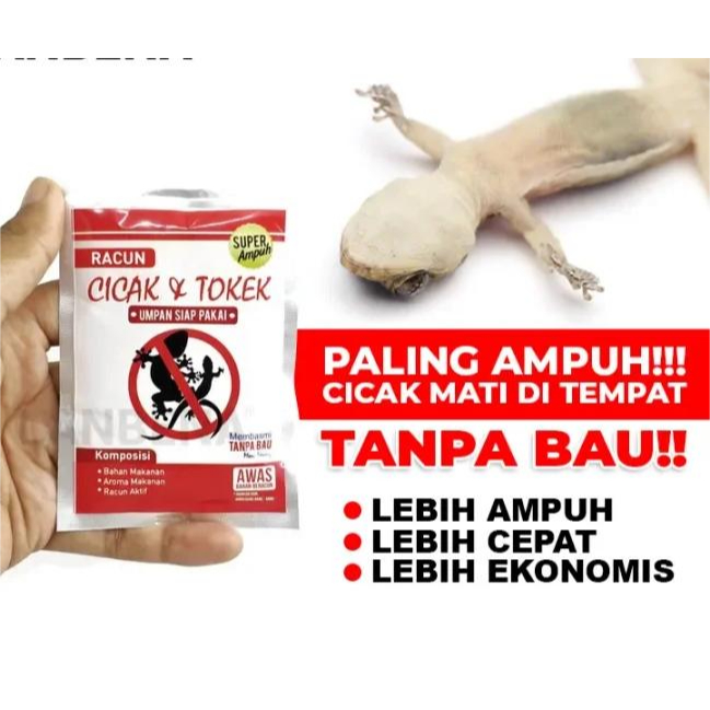 (Mati kering x bau) Racun Cicak & Tokek rumah walet | Shopee Malaysia