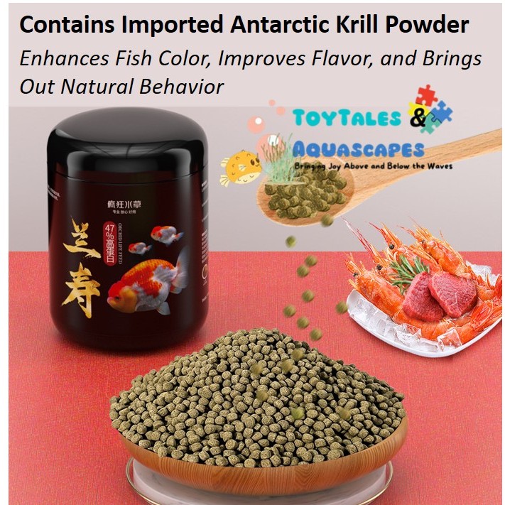 Exclusive Oranda Ranchu Goldfish Food for Strong Body Bulky and Color ...