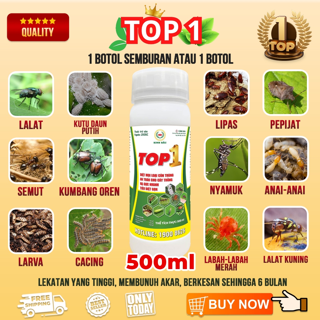 Racun top 1, Penyelesaian Serangga Terunggul dengan TOP1 500ML - Racun ...