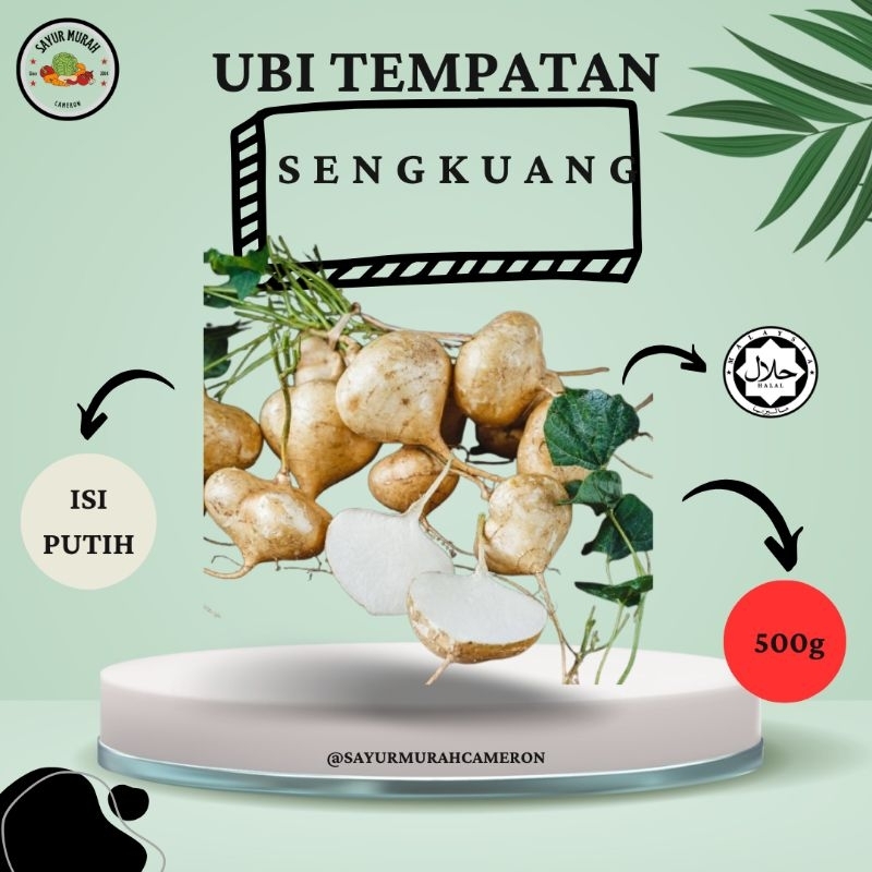 UBI SENGKUANG FRESH 500G | Shopee Malaysia