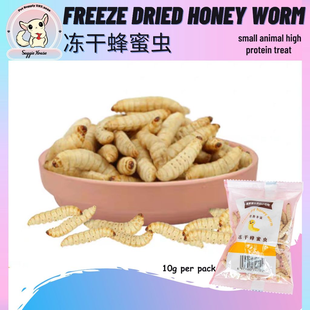 Freeze Dried Honey Worms Sugar glider Hamster Hedgehog Exotic animal ...