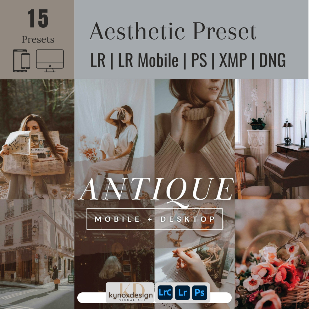 [Lightroom Preset] Aesthetic Preset - Antique for LR/LR(mobile)/PS ...