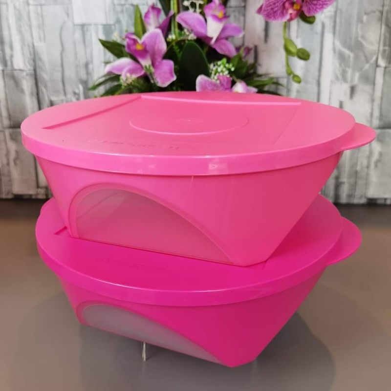 [TUPPERWARE MURAH] Outdoor Dining Bowl Set 2.5L (2 pcs) | Shopee Malaysia