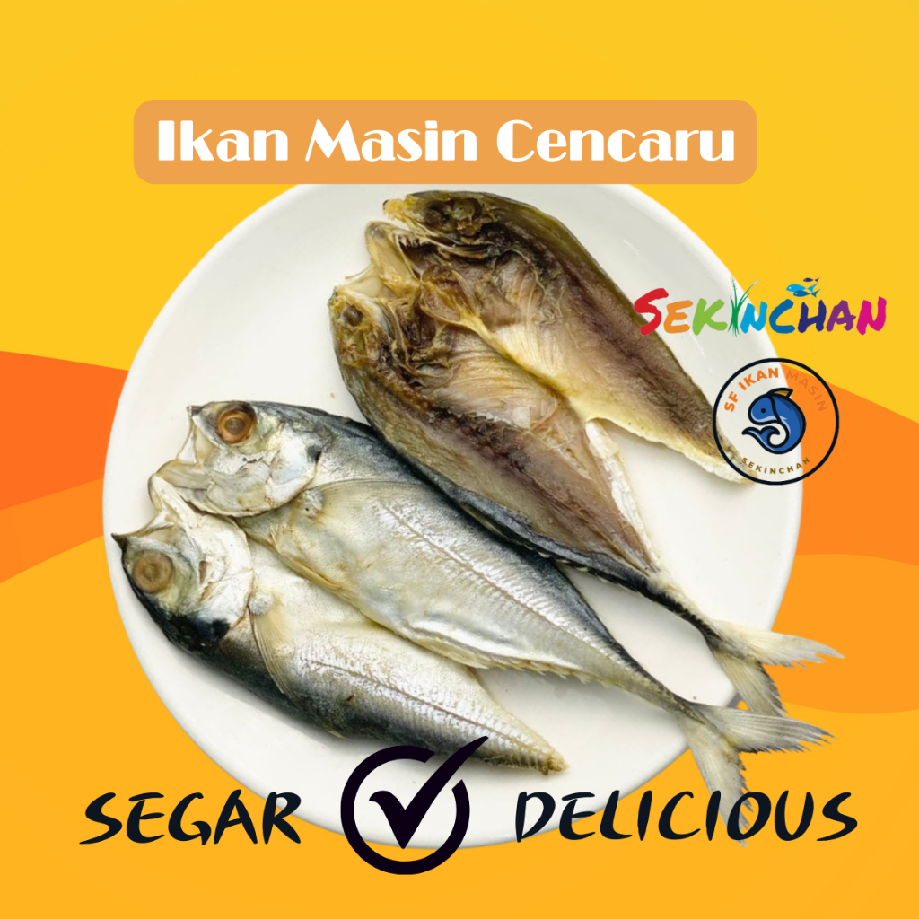 Ikan Masin Cencaru 200+- 500+- Borong | Shopee Malaysia