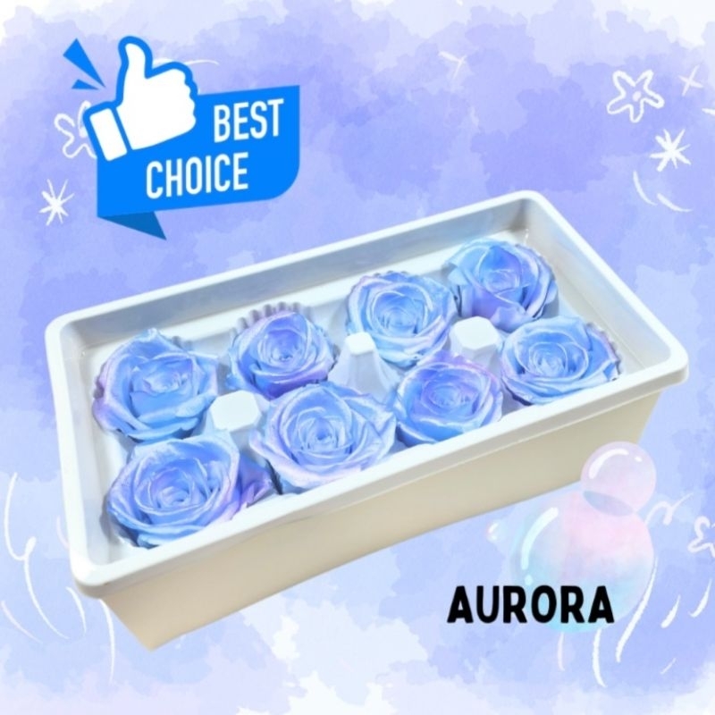 🔥READY STOCK🔥8pcs Grade A Special Colours Premium Preserved Rose ...