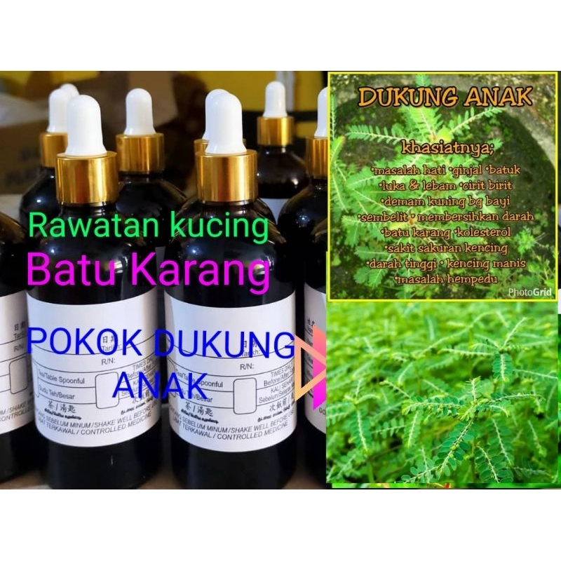 Ubat batu karang utk haiwan 120ml asli rebusan rumput | Shopee Malaysia