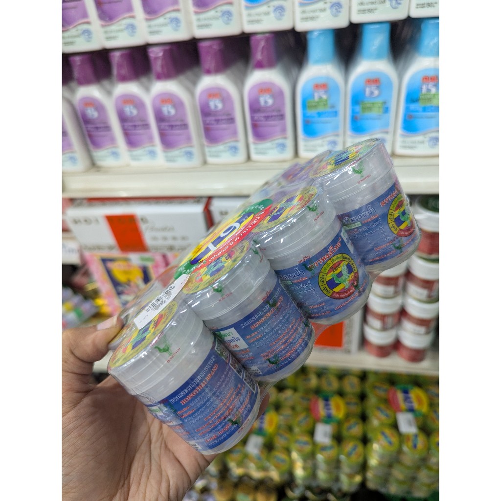 Hongthai Brand Borneol Herb Water Inhaler 16cc x 12 bottles | Shopee ...