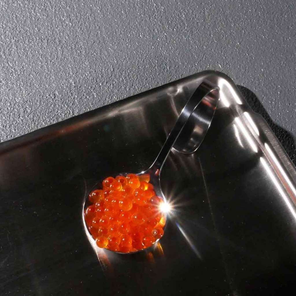 TROUT ROE and SALMON ROE [IKURA] | imported fjord trout roe | Shopee ...