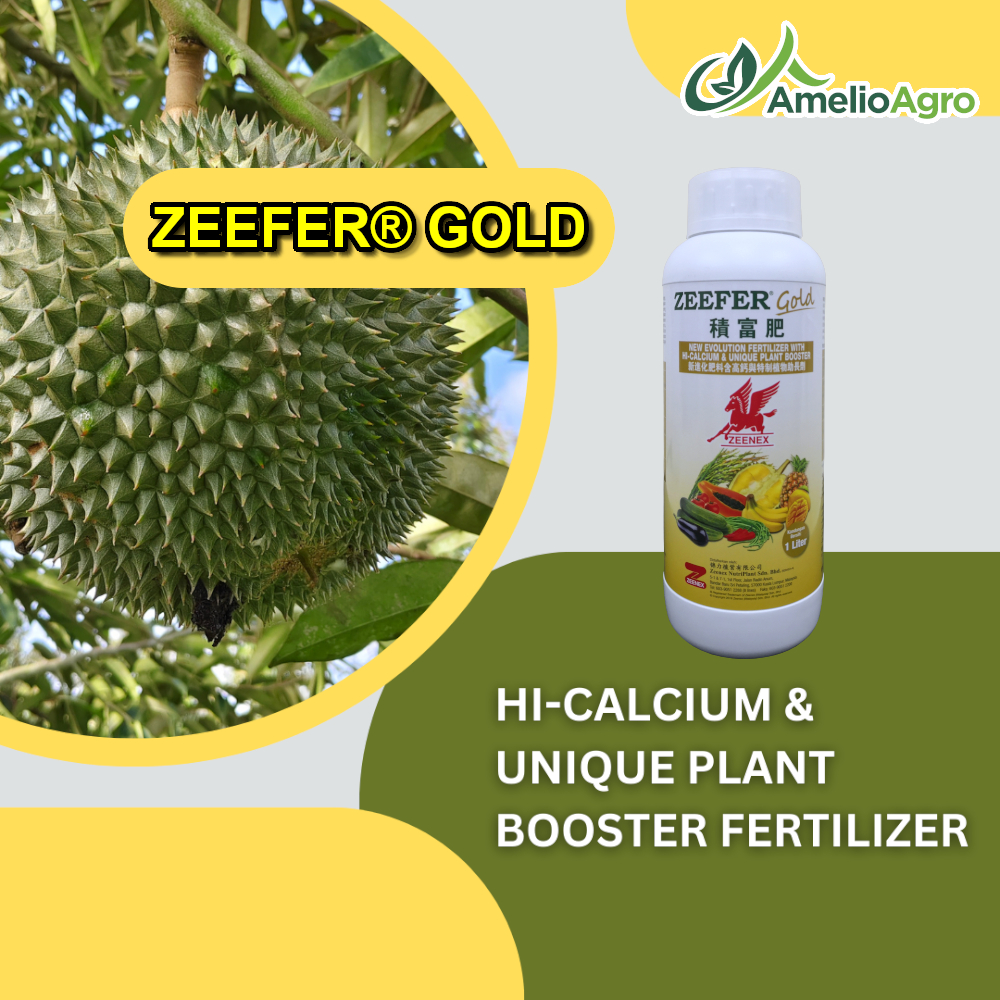 BAJA KALSIUM TINGGI ZEENEX ZEEFER® GOLD 積富肥 HI CALCIUM & UNIQUE PLANT ...