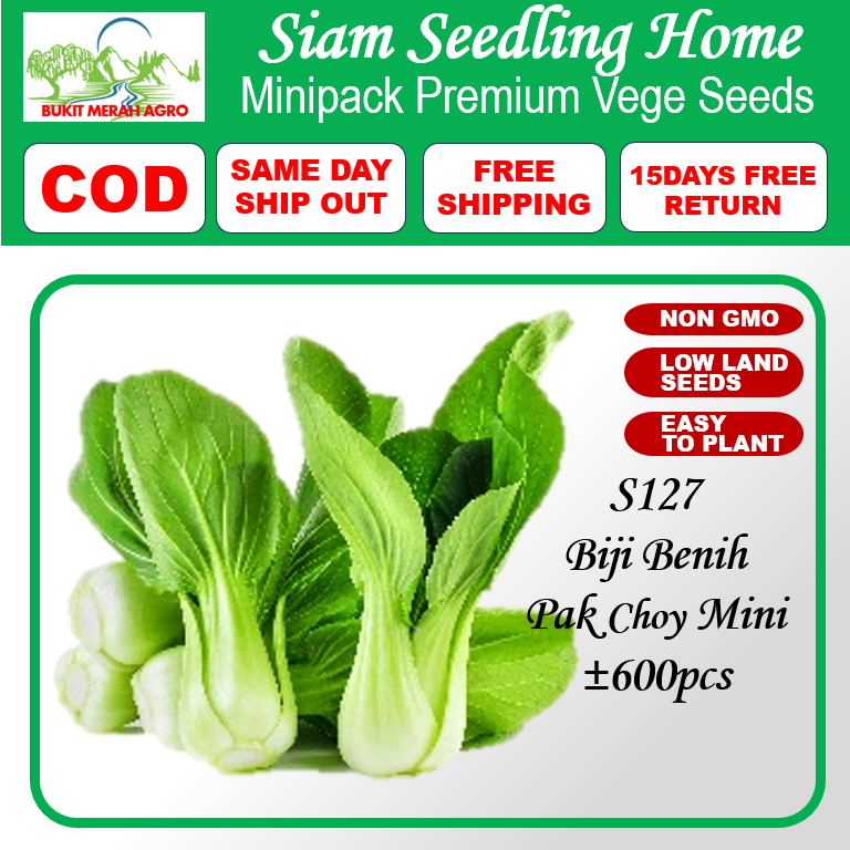 PREMIUM Biji Benih Pak Choy Mini | Shopee Malaysia