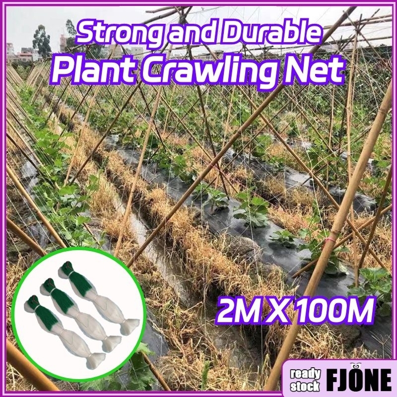 2M x 100M Cucumber Net Netting Jaring Timun Plant Support Net Plant Climbing Trellis Grow Garden ...