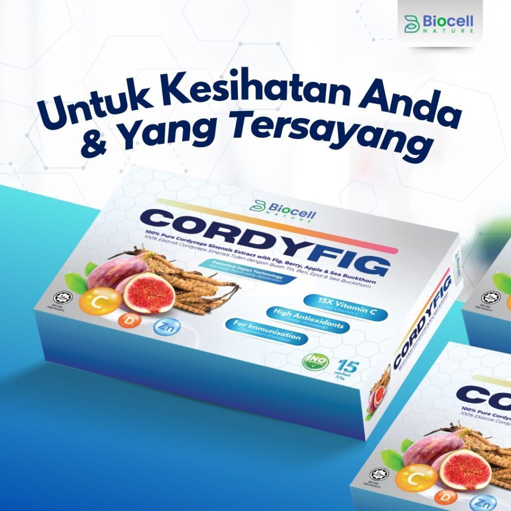 Biocell Cordyfig 15 Sachet Penawar Sakit Sendi Saraf, Kencing Manis ...