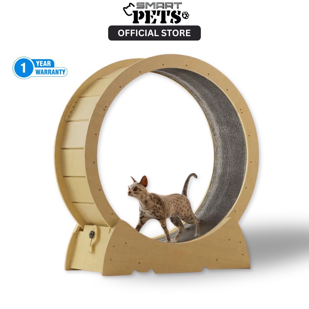 Smart Pets Cat Exercise Wheel for Indoor Cats Treadmill Running Wheel ...