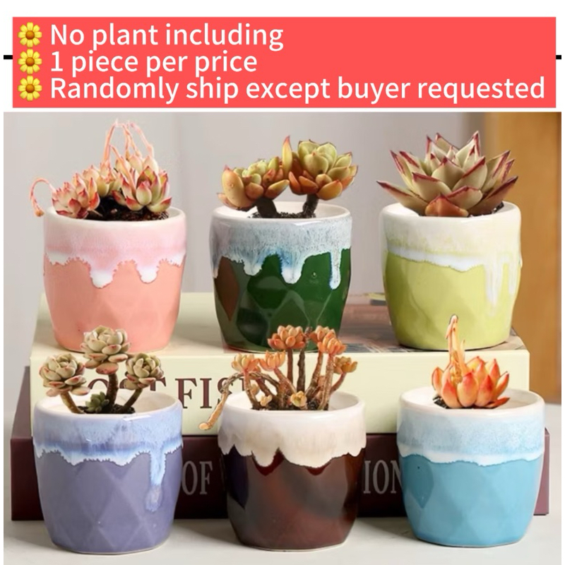 Succulent Pot Cactus/ Pot Ceramic/Pasu Seramik Kaktus 多肉陶瓷小花盆 2 ...