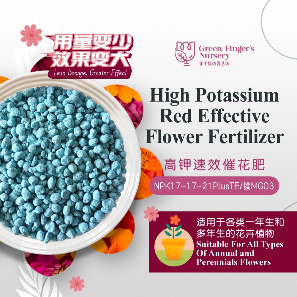 (1kg) High Potassium Red Effective Flower Fertilizer NPK 17-17-21PlusTE ...