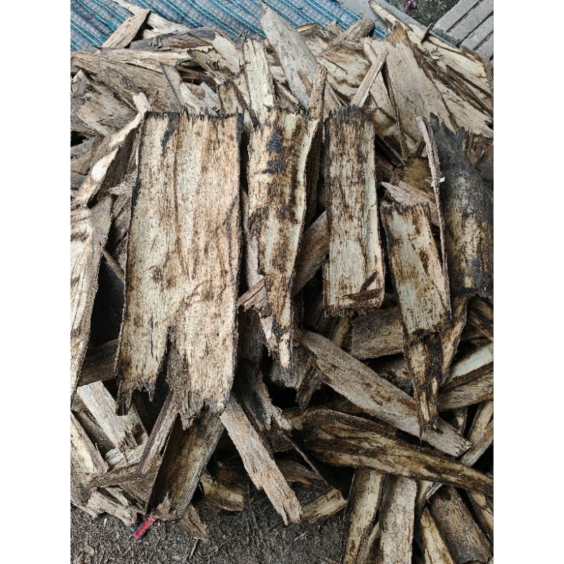KULIT HALBAN HITAM (FRESH) | Shopee Malaysia