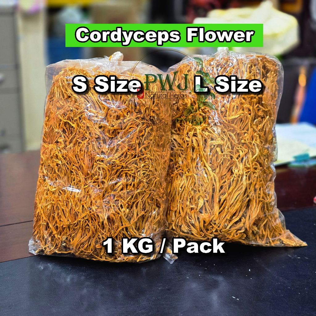 Cordyceps Flower 虫草花 (S Size & L Size) (1kg) | Shopee Malaysia