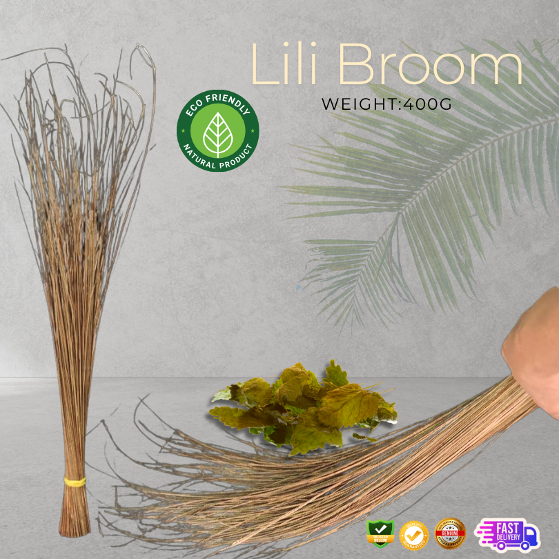 NATURAL COCONUT 400g LILI BROOM/PENYAPU LILI /TRADITIONAL KELAPA LILI ...