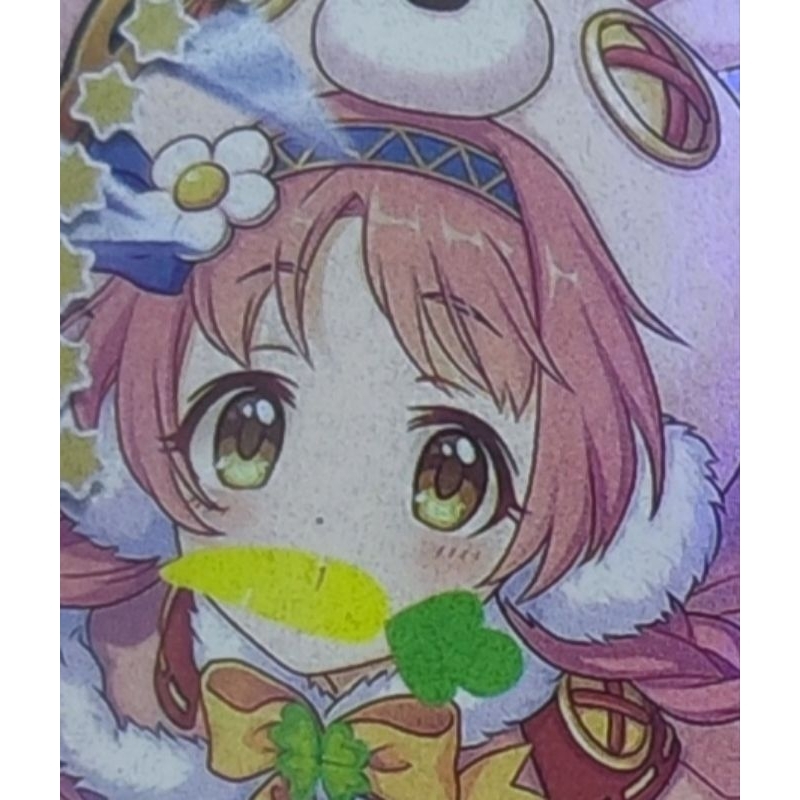 Card Princess Connect Re Dive Akane Mimi anime Waifu TCG Trading card ...